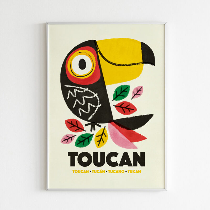 Toucan - PINTACHAN